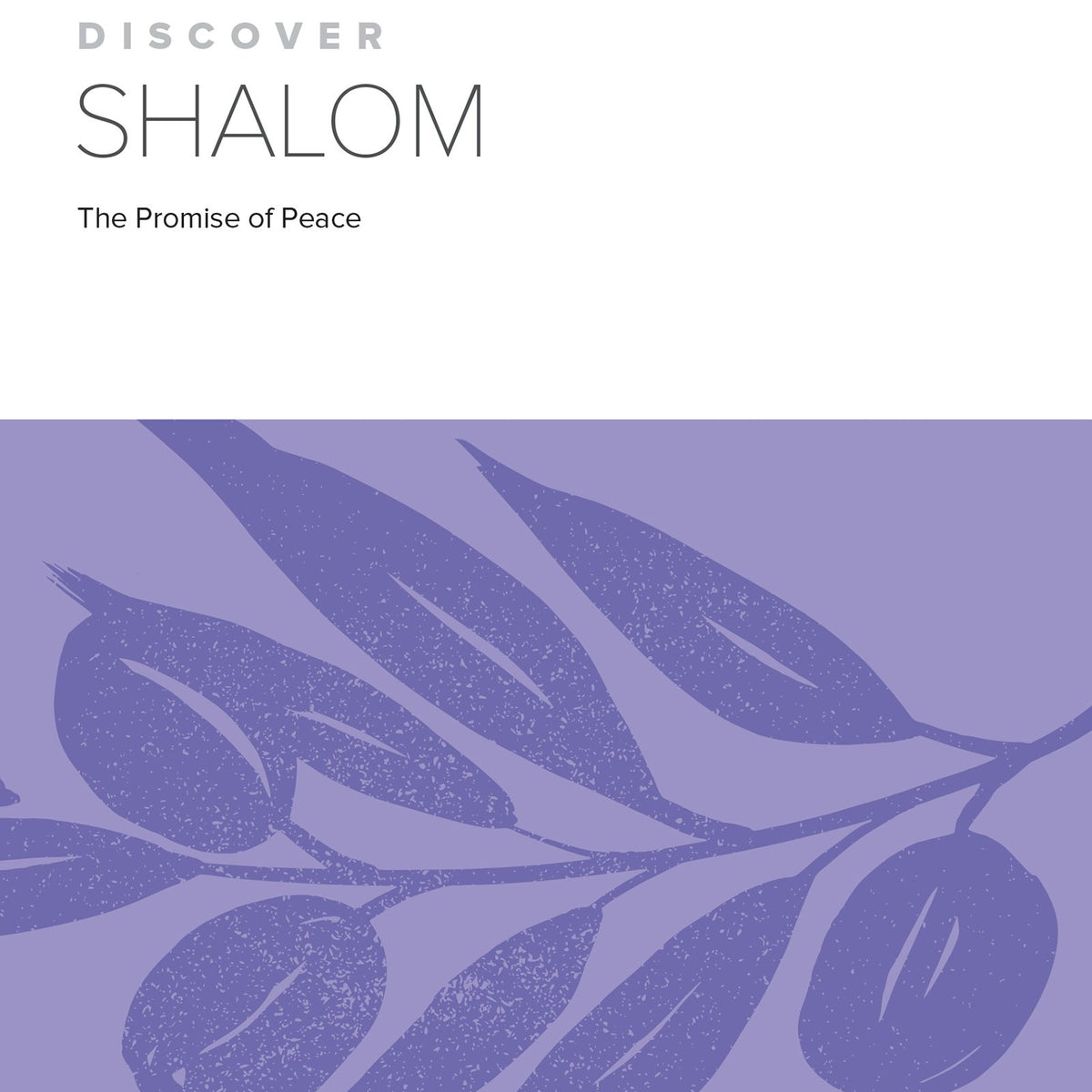 Discover Shalom Study Guide – Faith Alive Christian Resources