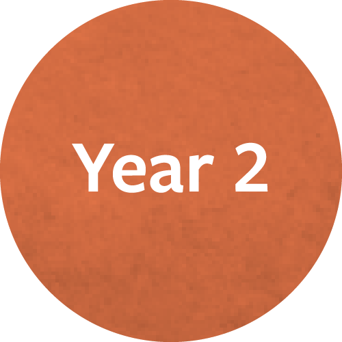 Marvel Year 2 – Faith Alive Christian Resources