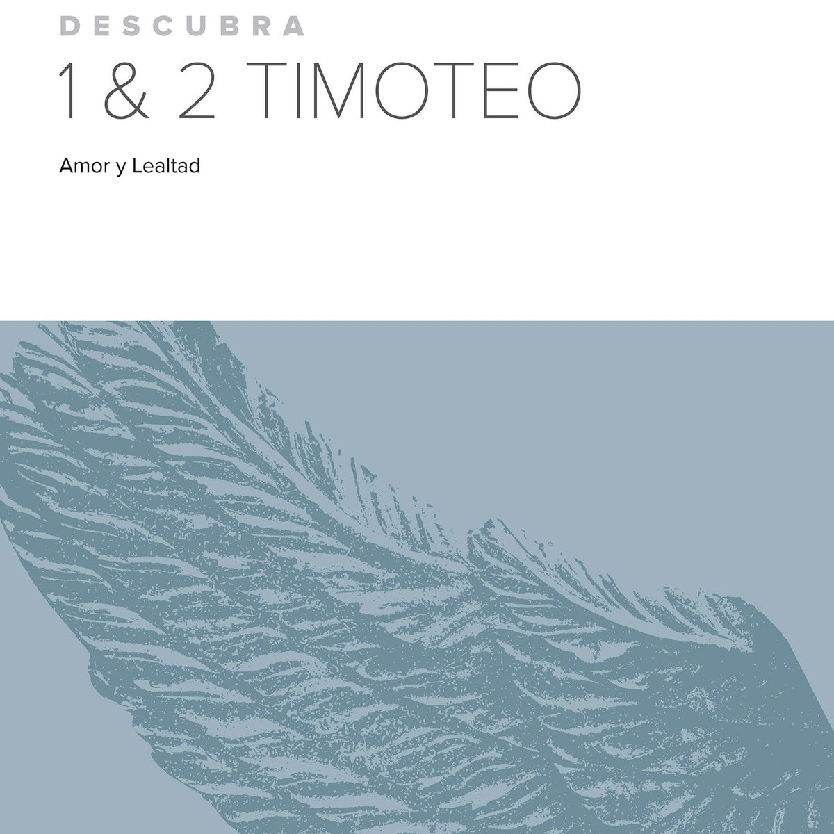 Discover 1&2 Timothy Leader Guide (Spanish)/Descubra 1 & 2 Timoteo Guí ...