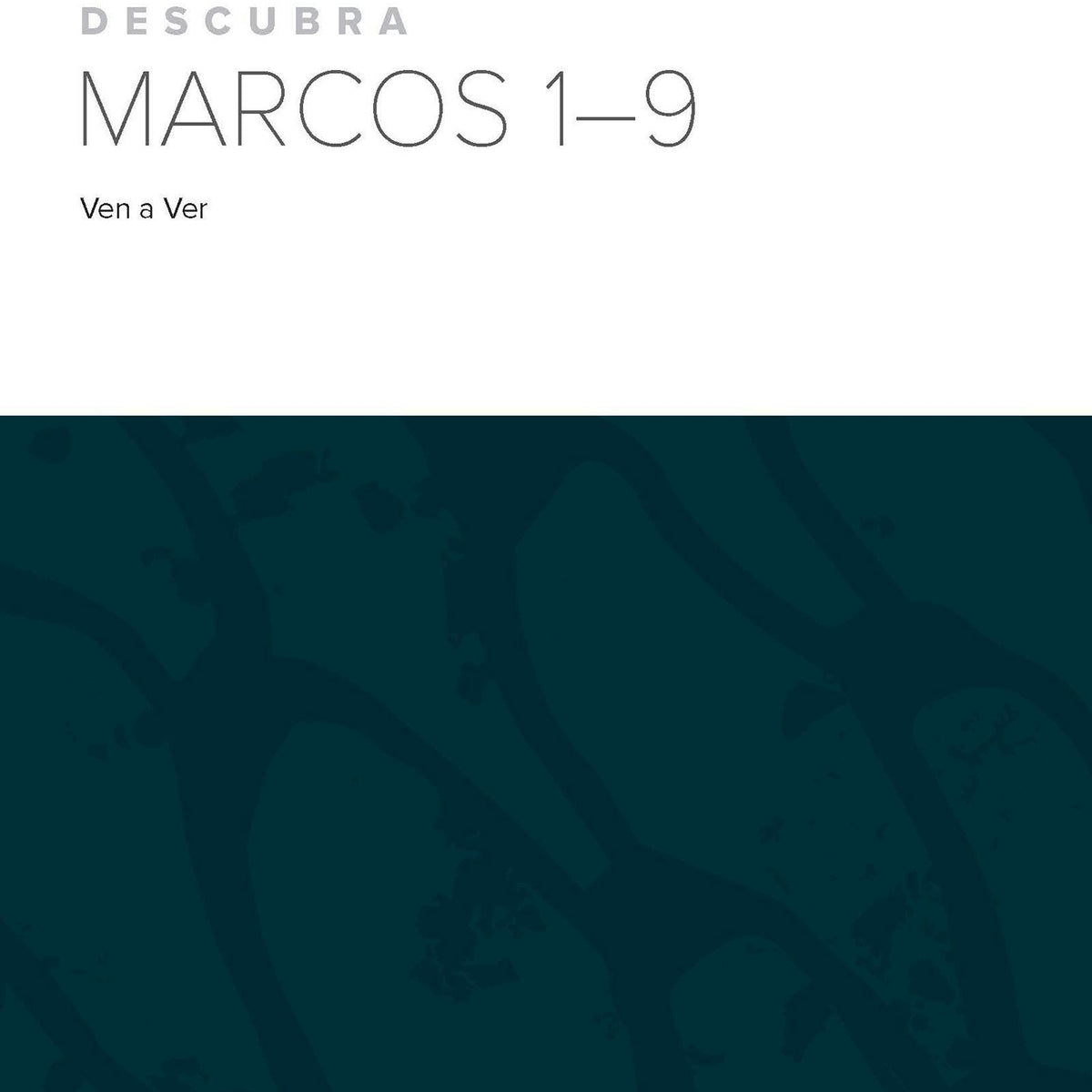Descubra Lucas 1-4 Guía del Líder Digital – Faith Alive Christian Resources