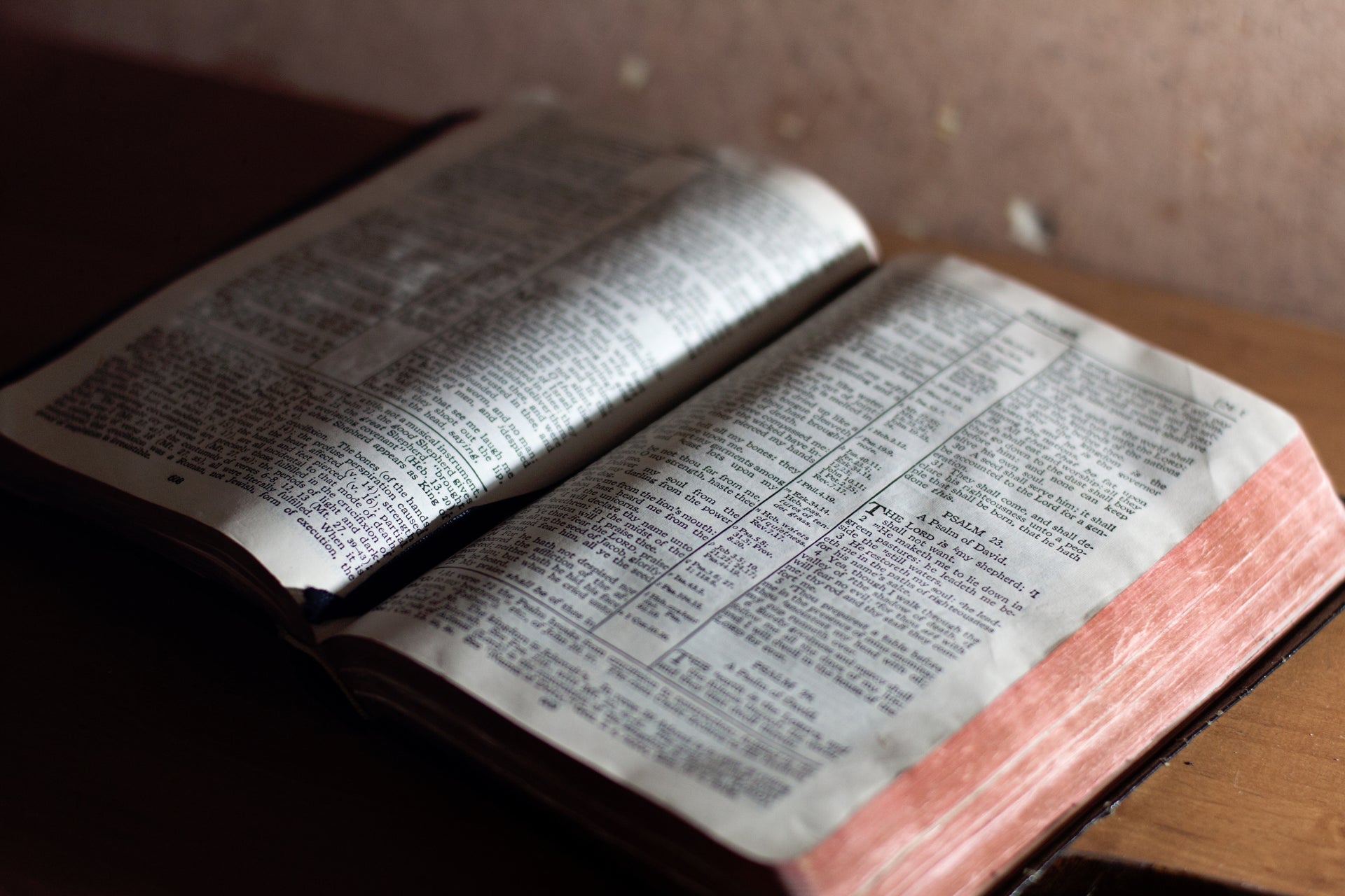 Faith Alive Christian Resources